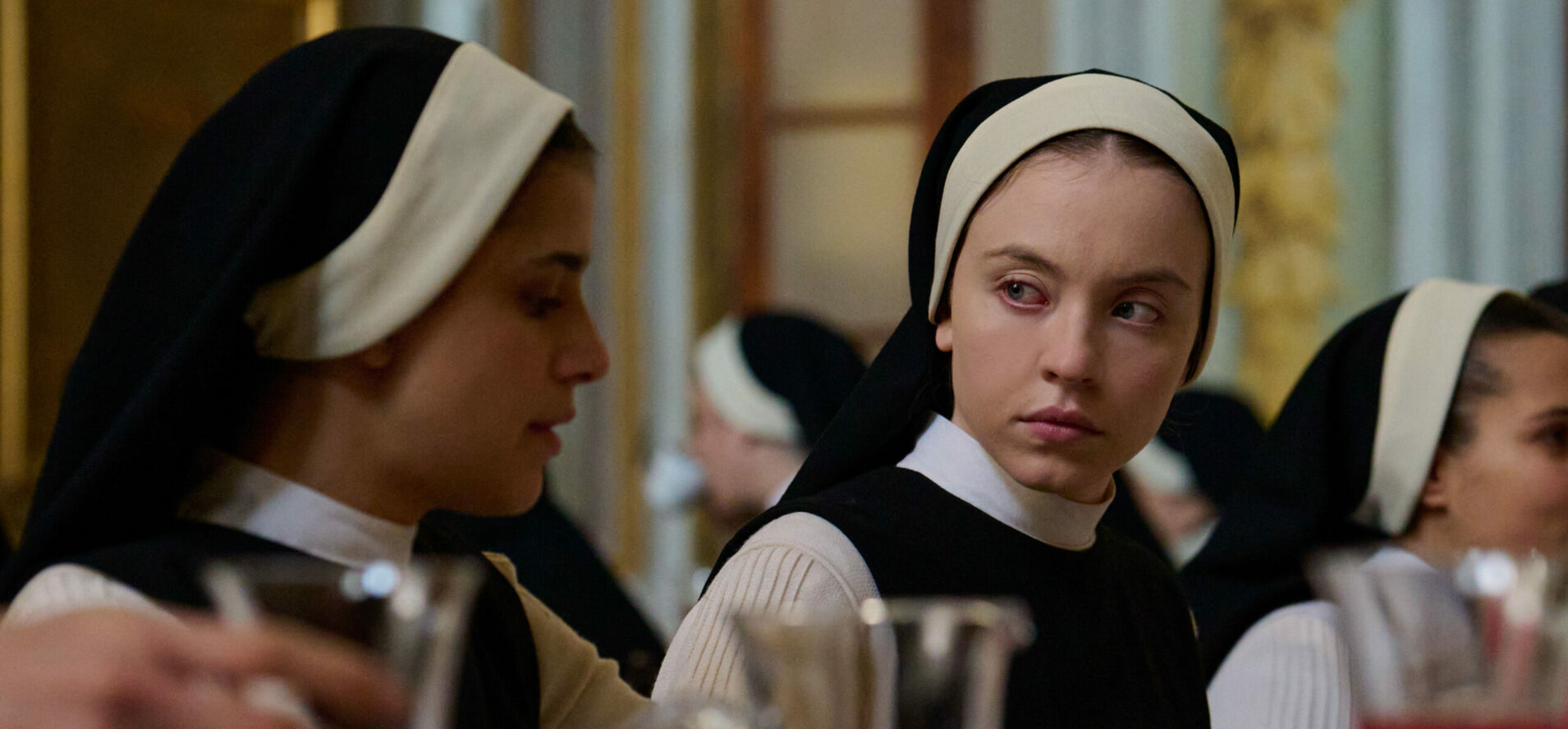 Immaculate | Rialto Distribution