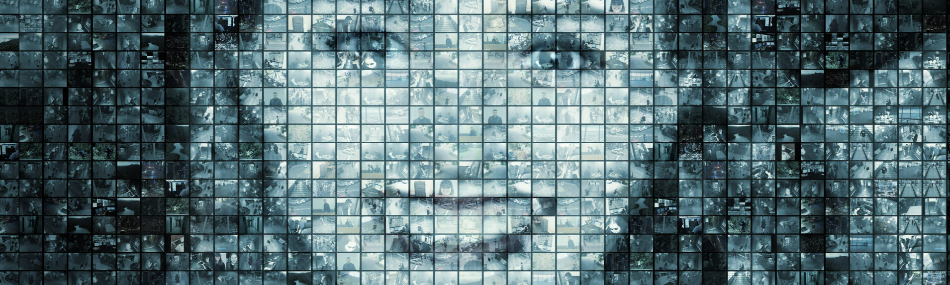 Coming Soon | Rialto Distribution