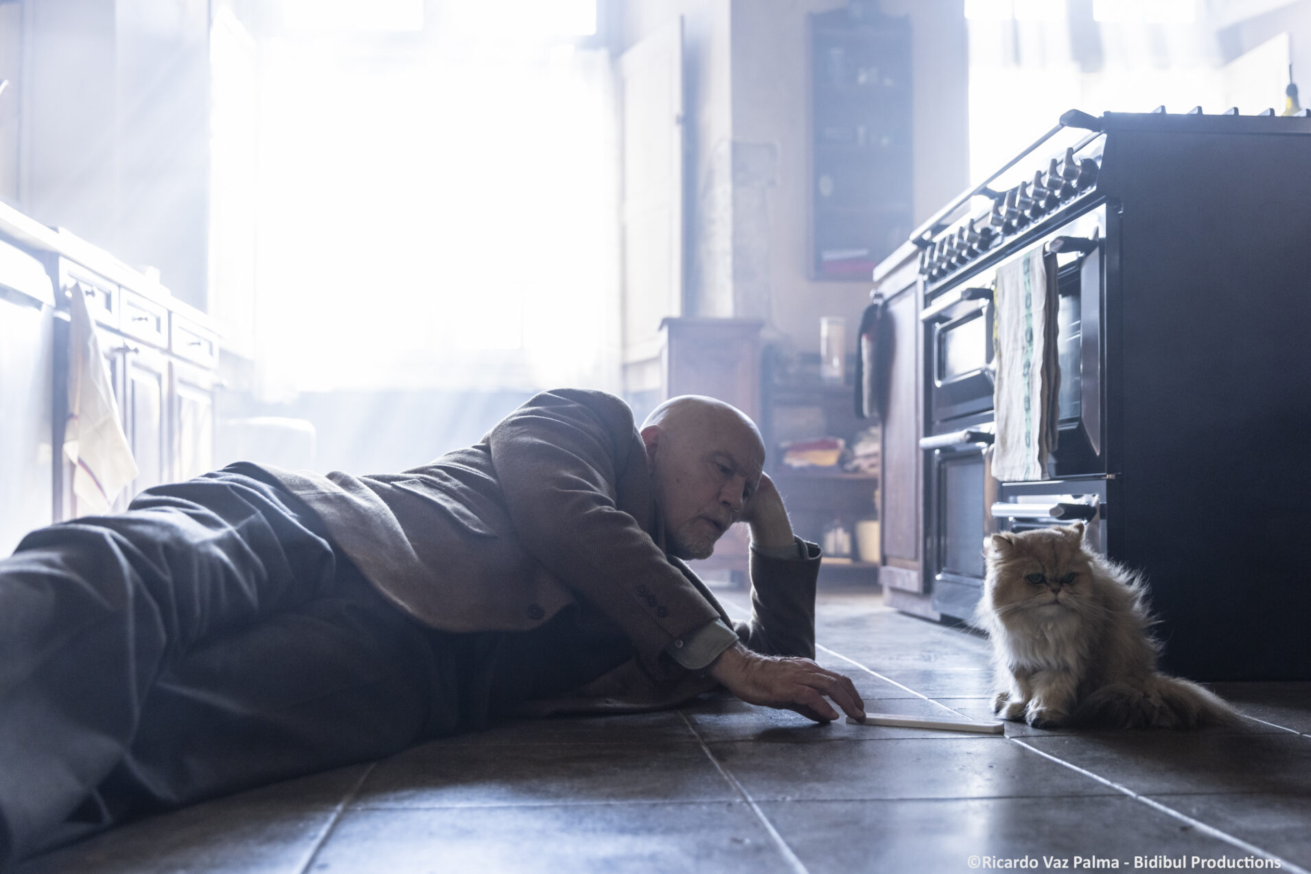 Mr Blake At Your Service! | Rialto Distribution