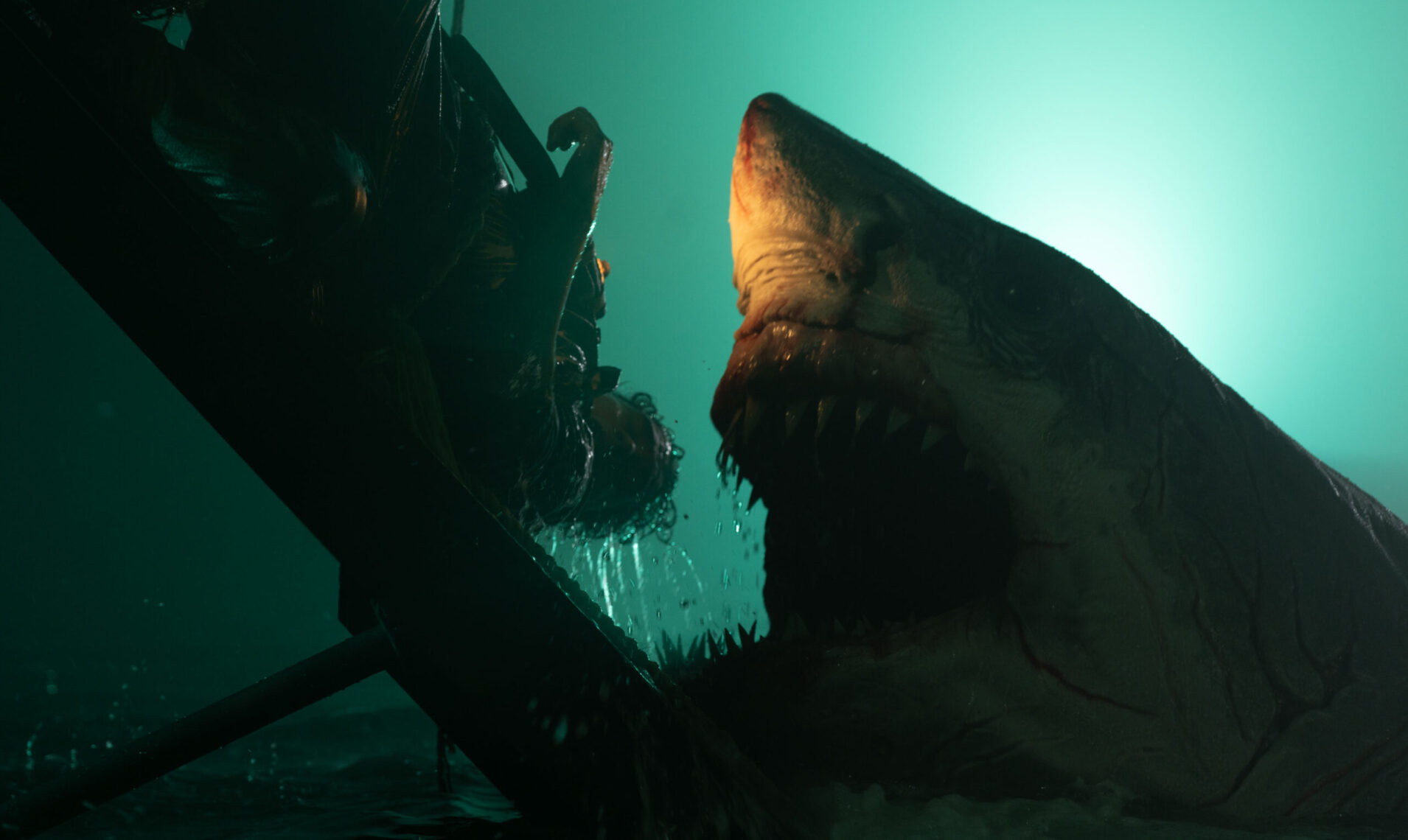 Coming Soon | Rialto Distribution